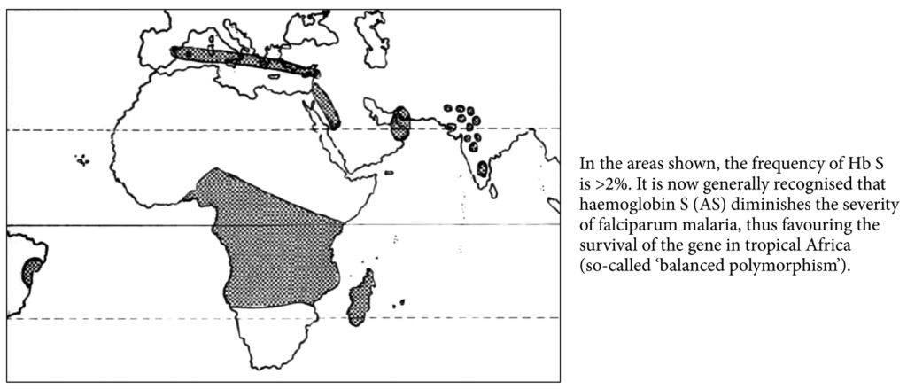 Genetic Blood Dyscrasias – HAEMA